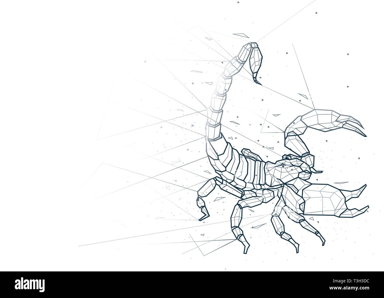 Abstract Scorpion Low Poly Wireframe Stock Vector Image & Art - Alamy
