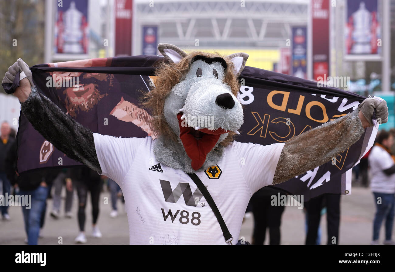 Wolverhampton Wanderers fan outside Wembley Stadium before the FA Cup ...