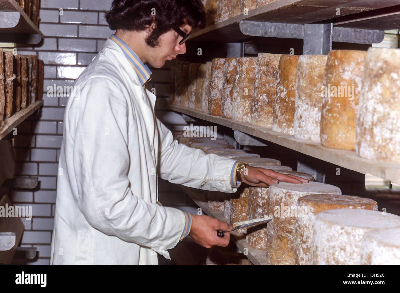 Racks of stilton cheese hi-res stock photography and images - Alamy