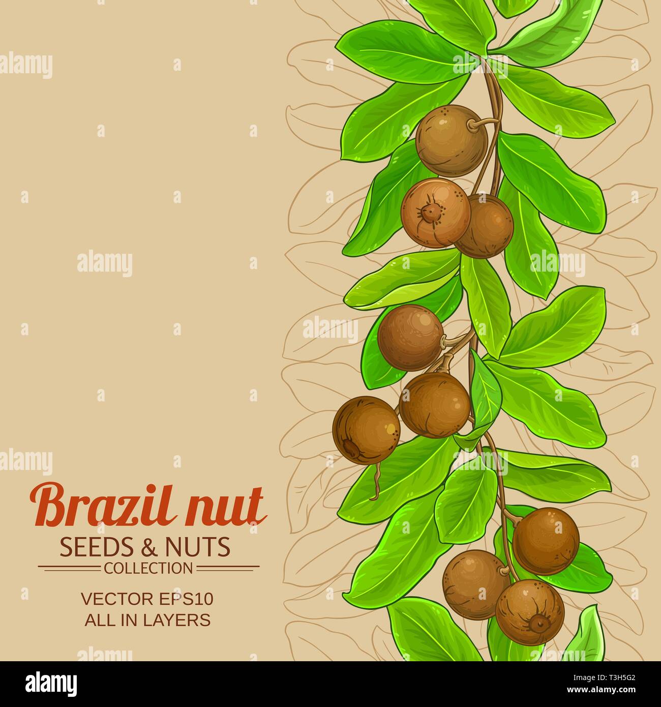 Brazil food vertical Stock Vector Images - Alamy
