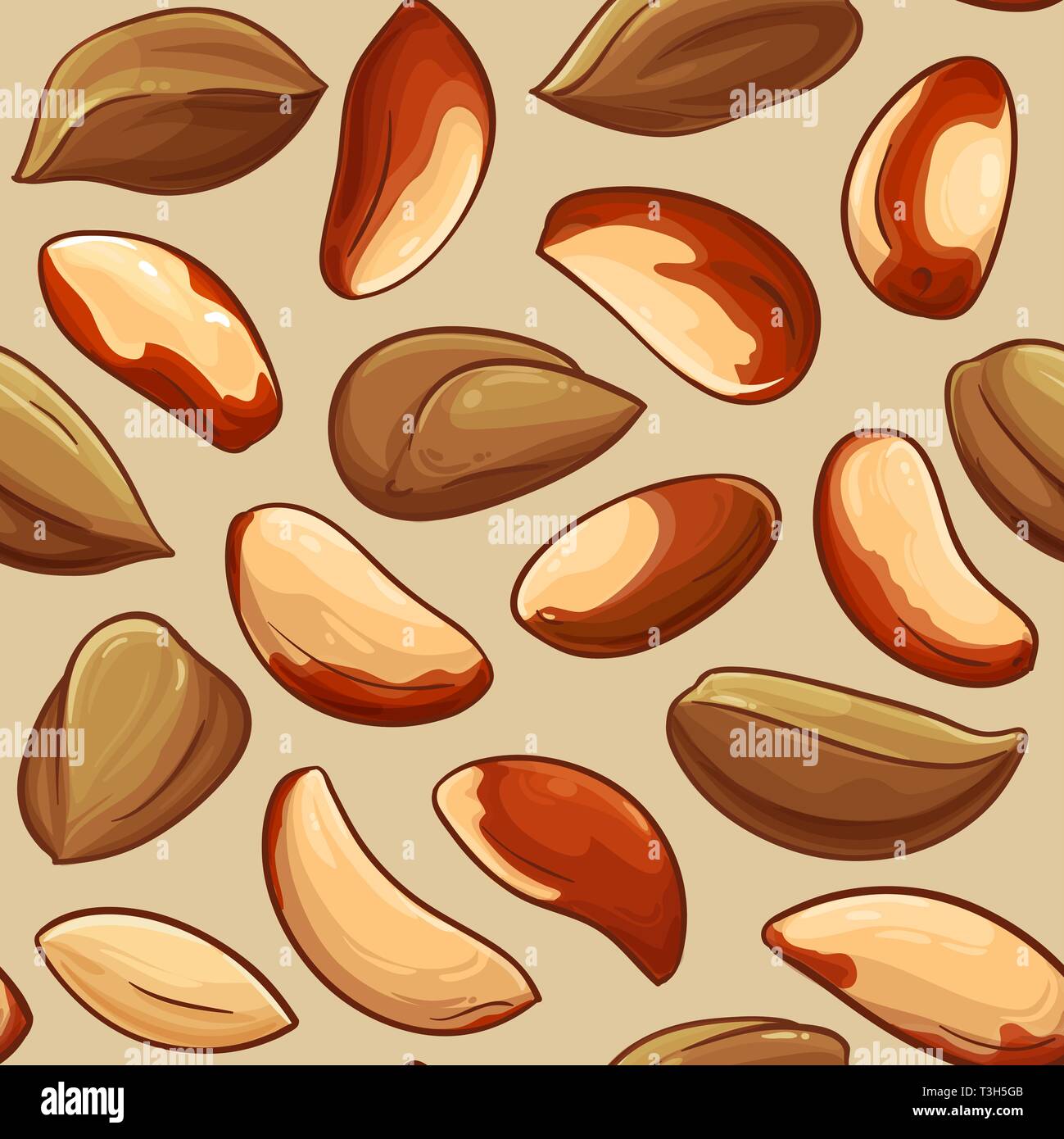 Brazil nut Stock Vector Images - Alamy