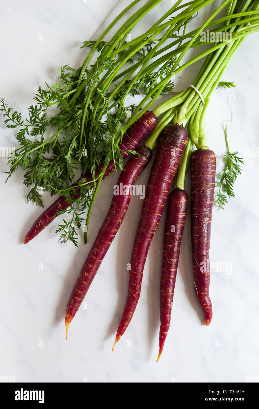 Nutrition of carrots hi-res stock photography and images - Alamy