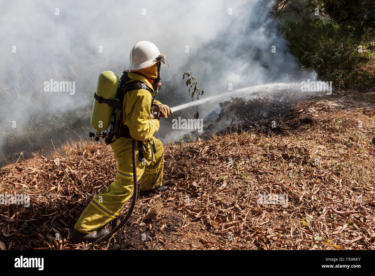 Community emergency response team hi-res stock photography and images ...