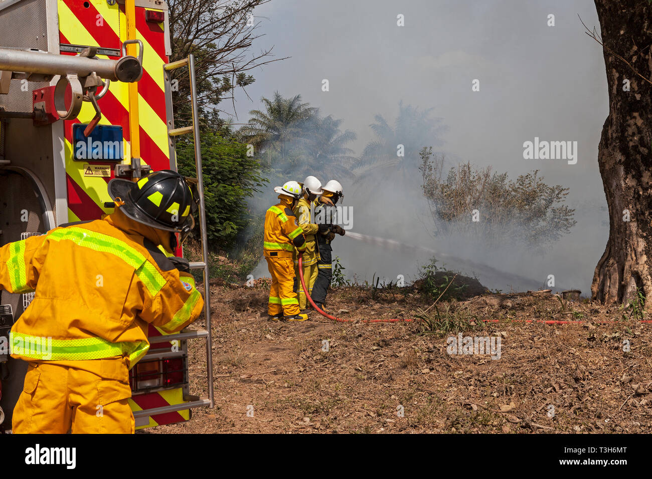 Community emergency response team hi-res stock photography and images ...