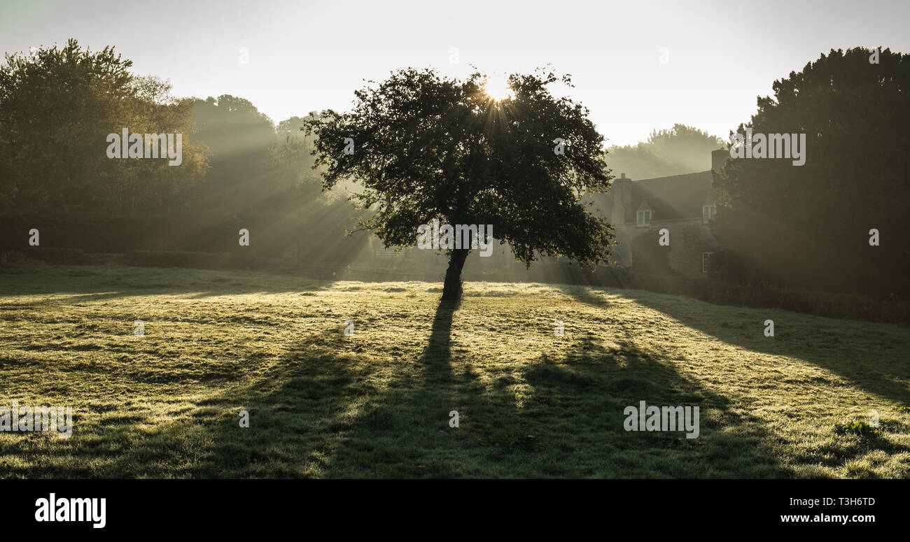 Summer lighting hi-res stock photography and images - Alamy