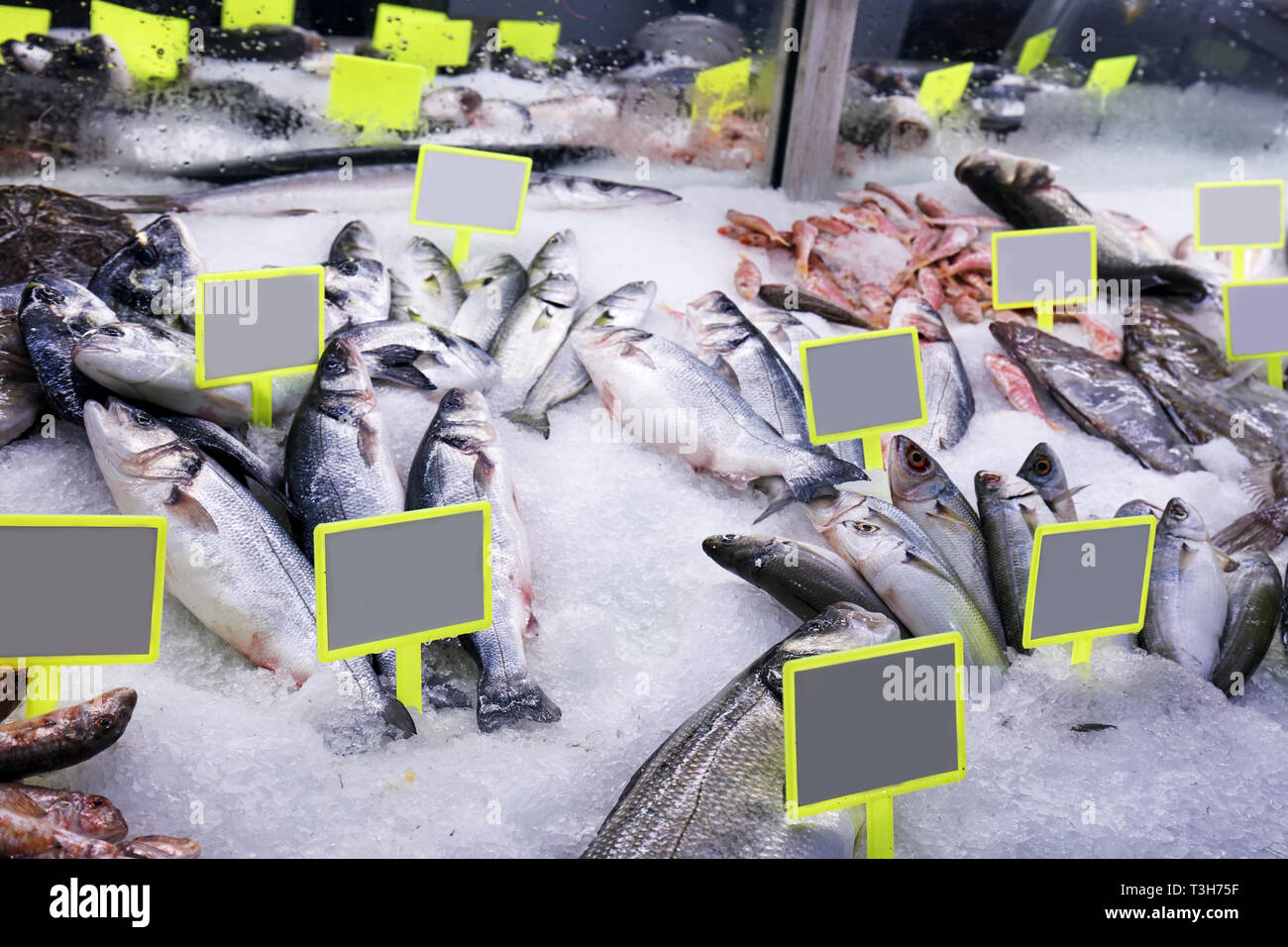 Fresh sea fish on ice and price tags on the market counter. Close up ...