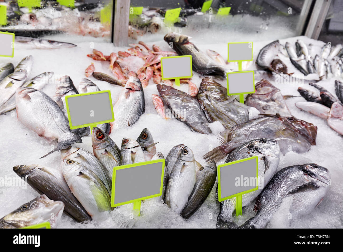Fresh sea fish on ice and price tags on the market counter. Close up ...