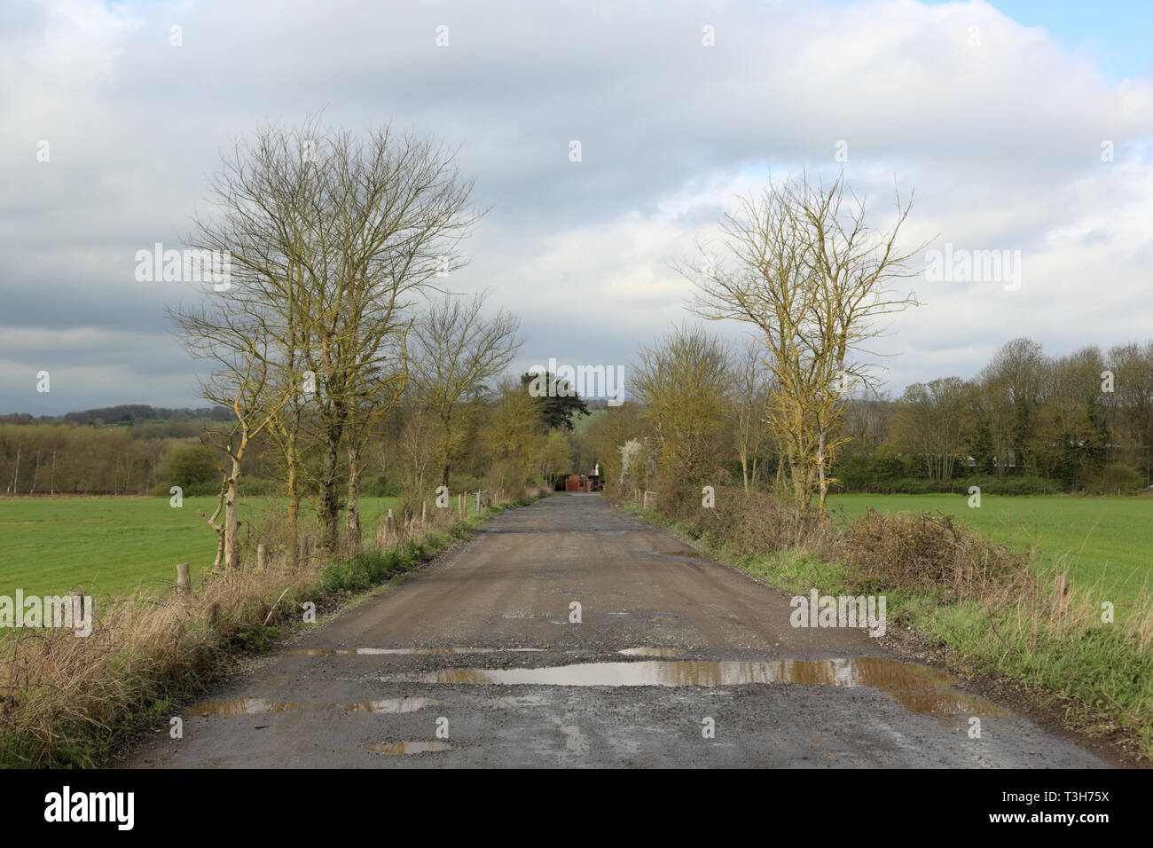 Prestwood hi-res stock photography and images - Alamy