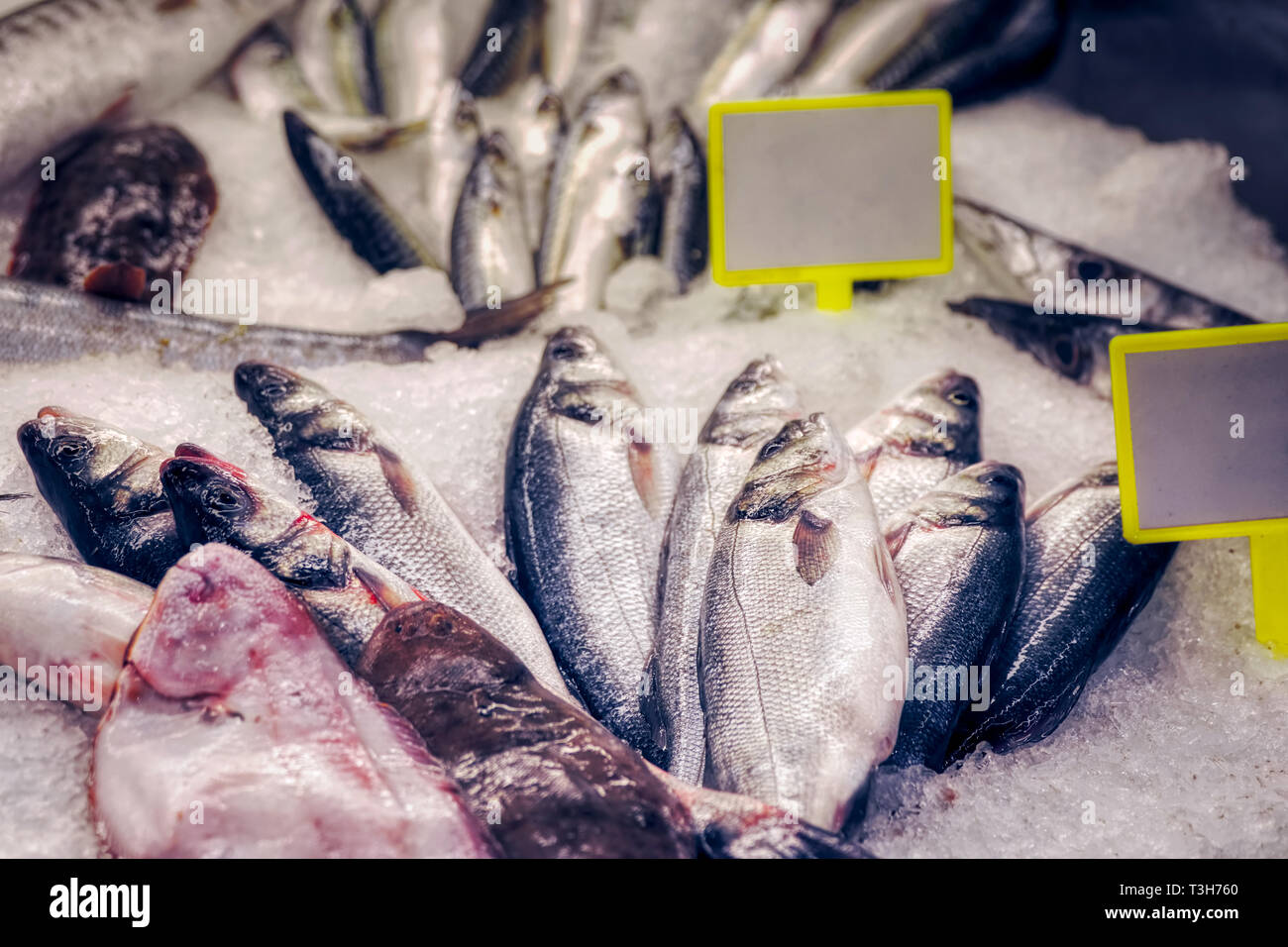 Fresh sea fish on ice and price tags on the market counter. Close up ...