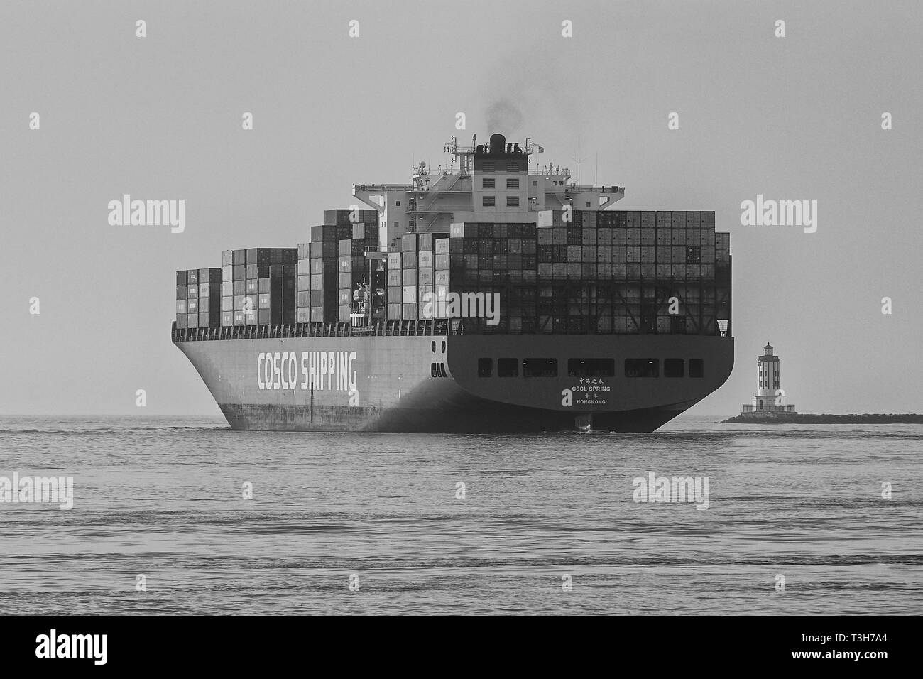 Black And White Photo Of The COSCO SHIPPING Container Ship, CSCL SPRING ...