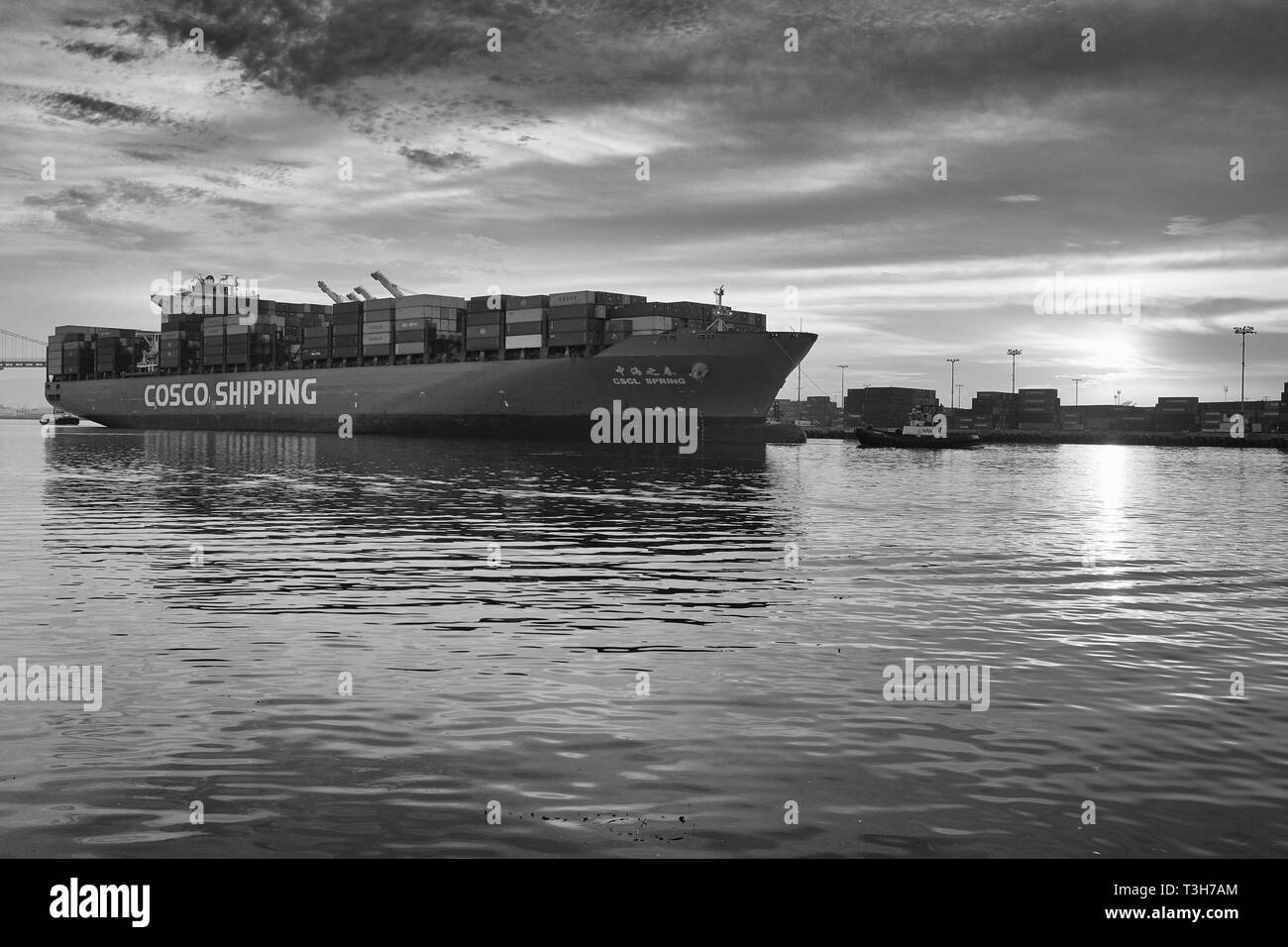 Moody Black And White Photo Of The COSCO SHIPPING Container Ship, CSCL ...