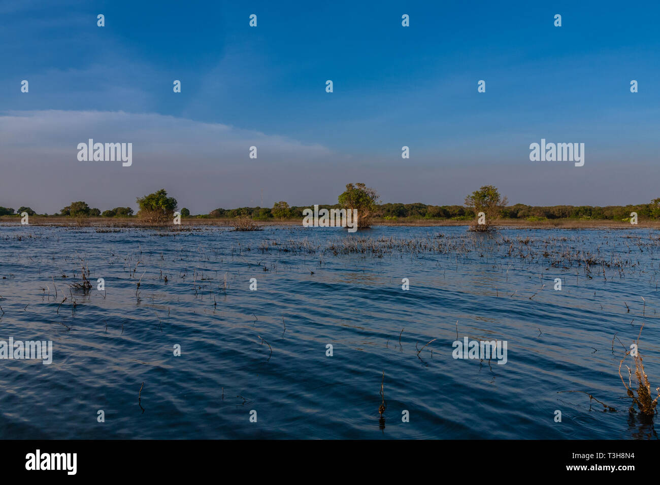 Tonle sap river cambodia fish hi-res stock photography and images - Alamy