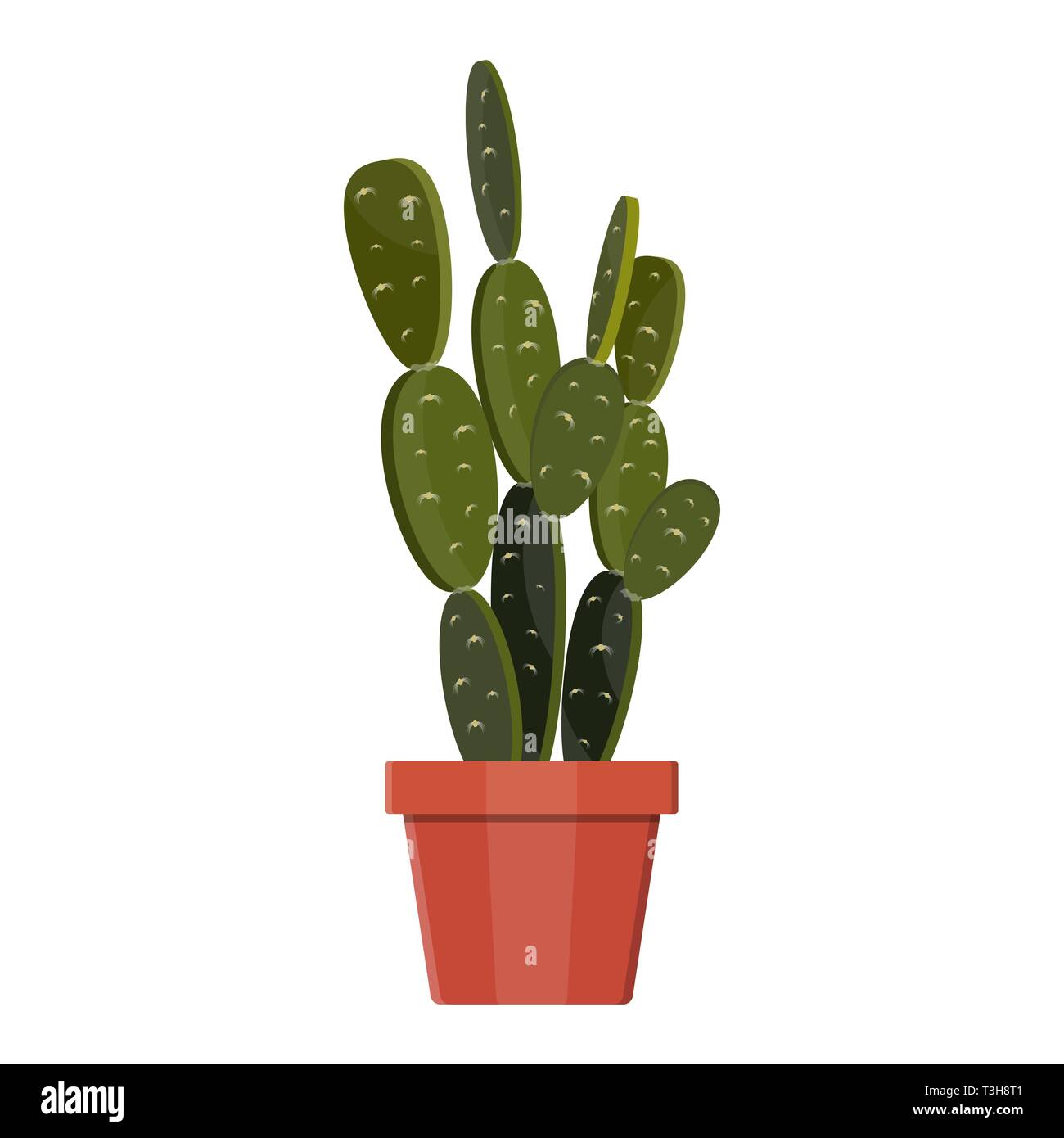 Cactus Flower Vector