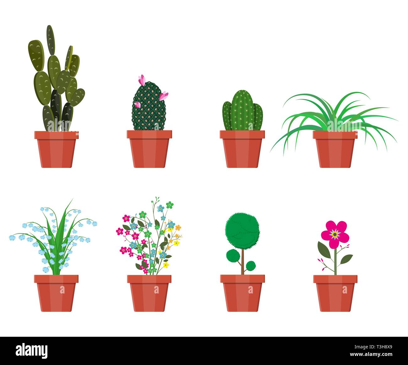 Various plants in flower pot. Decoration home plant set. Vector ...