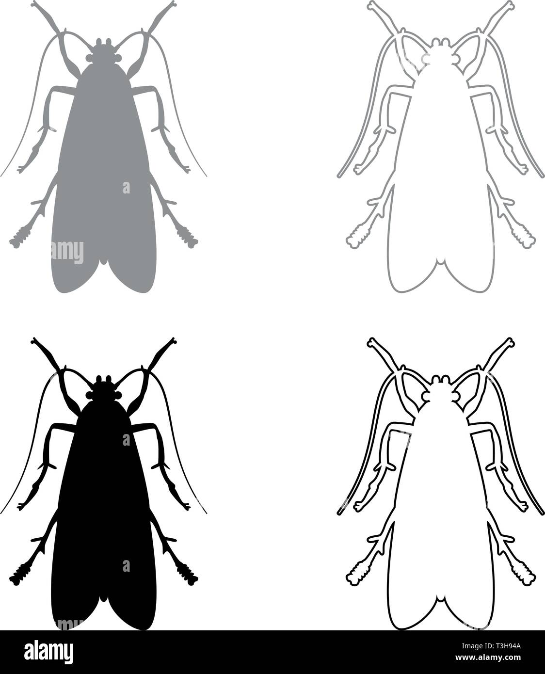 Grey moth Stock Vector Images - Alamy