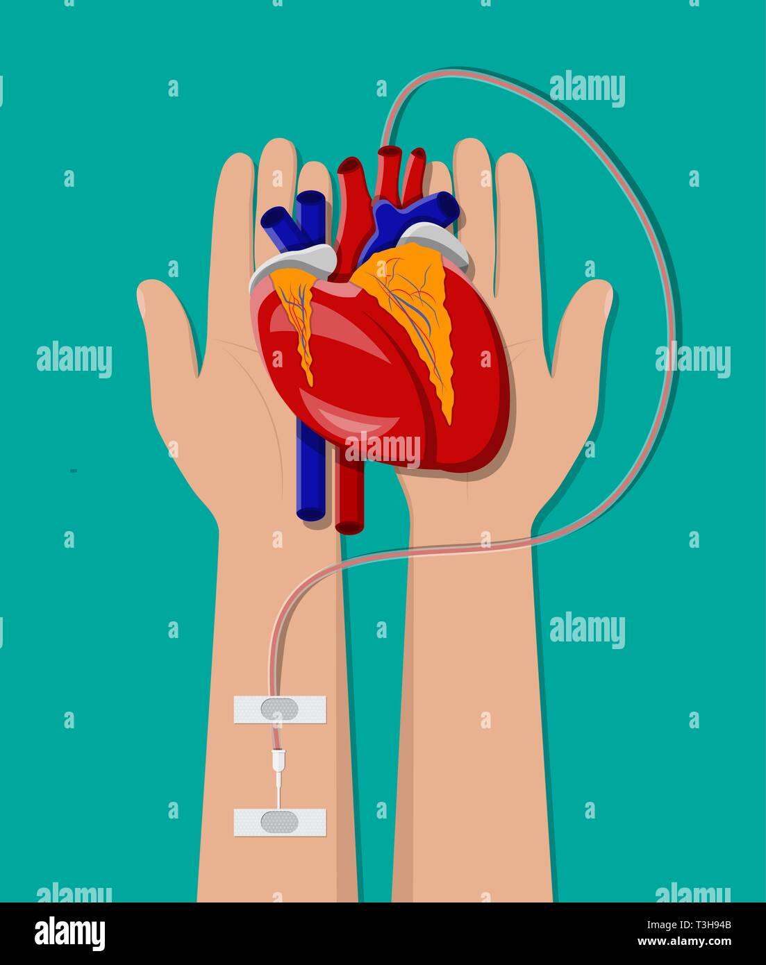 Hand of donor with heart. Blood donation day concept. Human donates ...