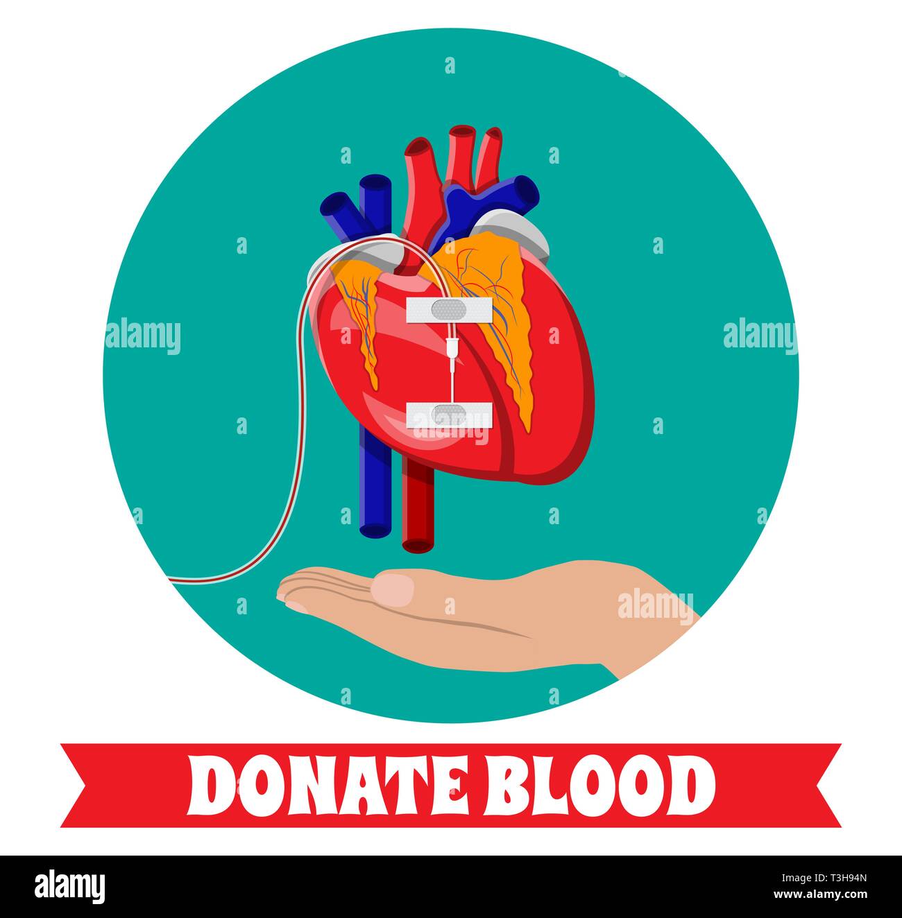 Hand of donor with heart. Blood donation day concept. Human donates ...