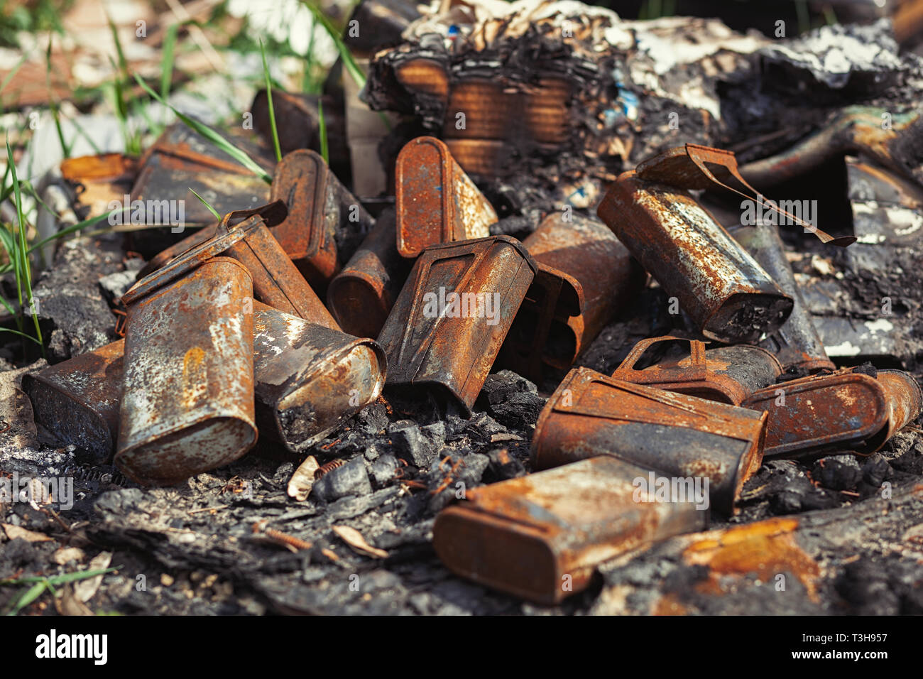 Burnt old rusty cans thrown away in the forest Stock Photo - Alamy