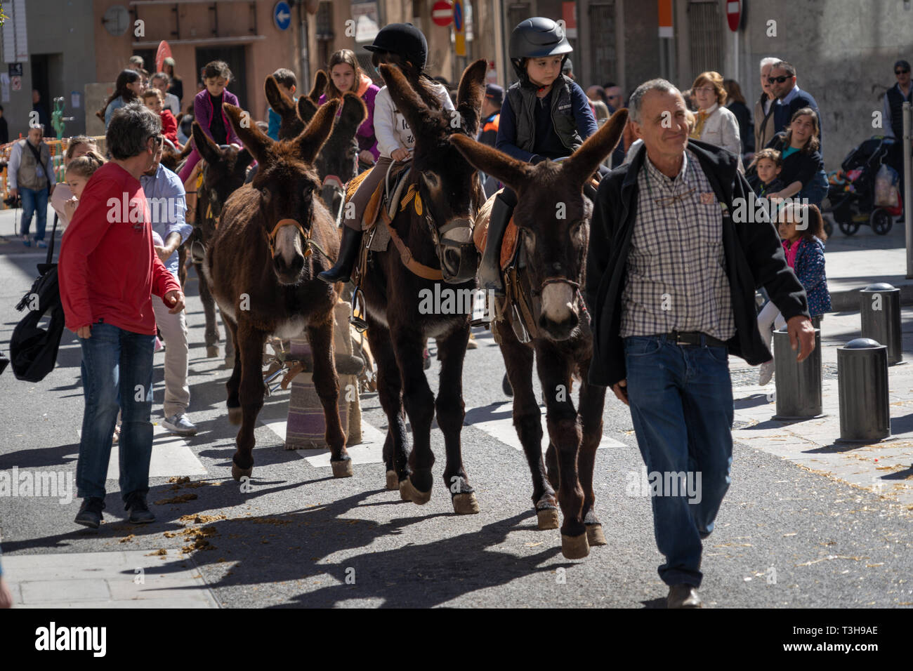 Reus, Spain. March 2019: Kids riding donkeys and mules around the city ...