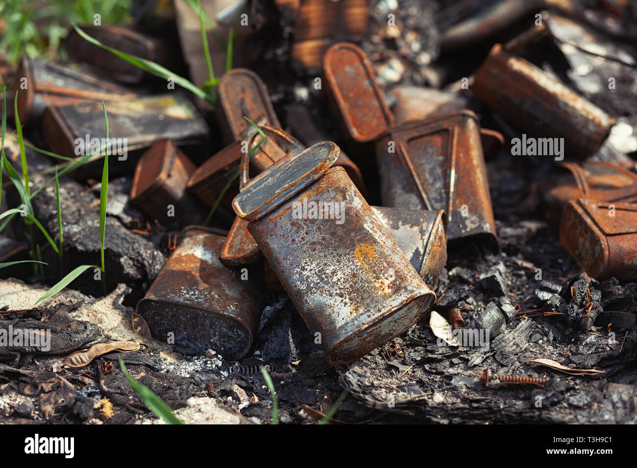 Burnt old rusty cans thrown away in the forest Stock Photo - Alamy