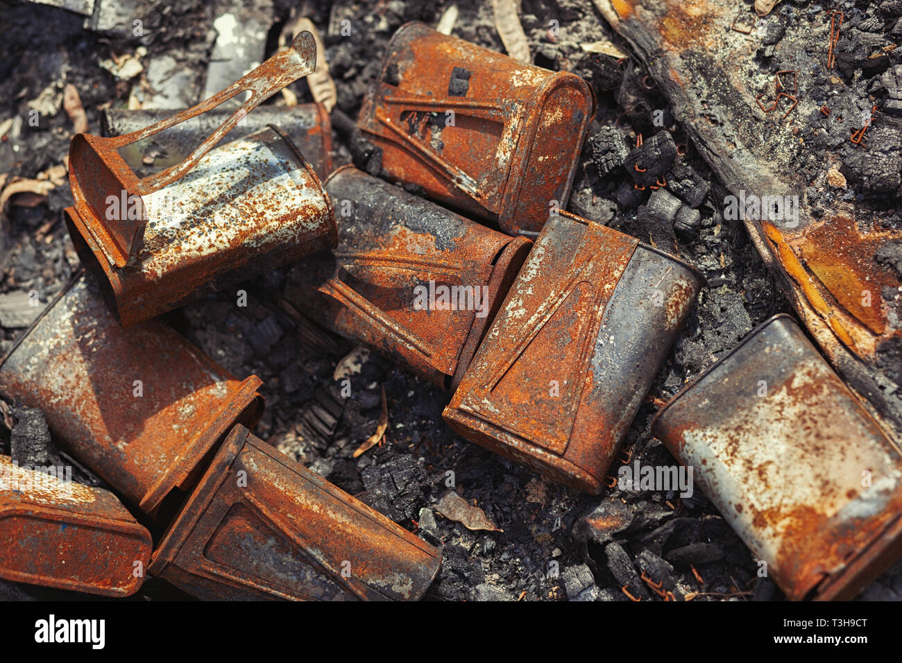 Burnt old rusty cans thrown away in the forest Stock Photo - Alamy
