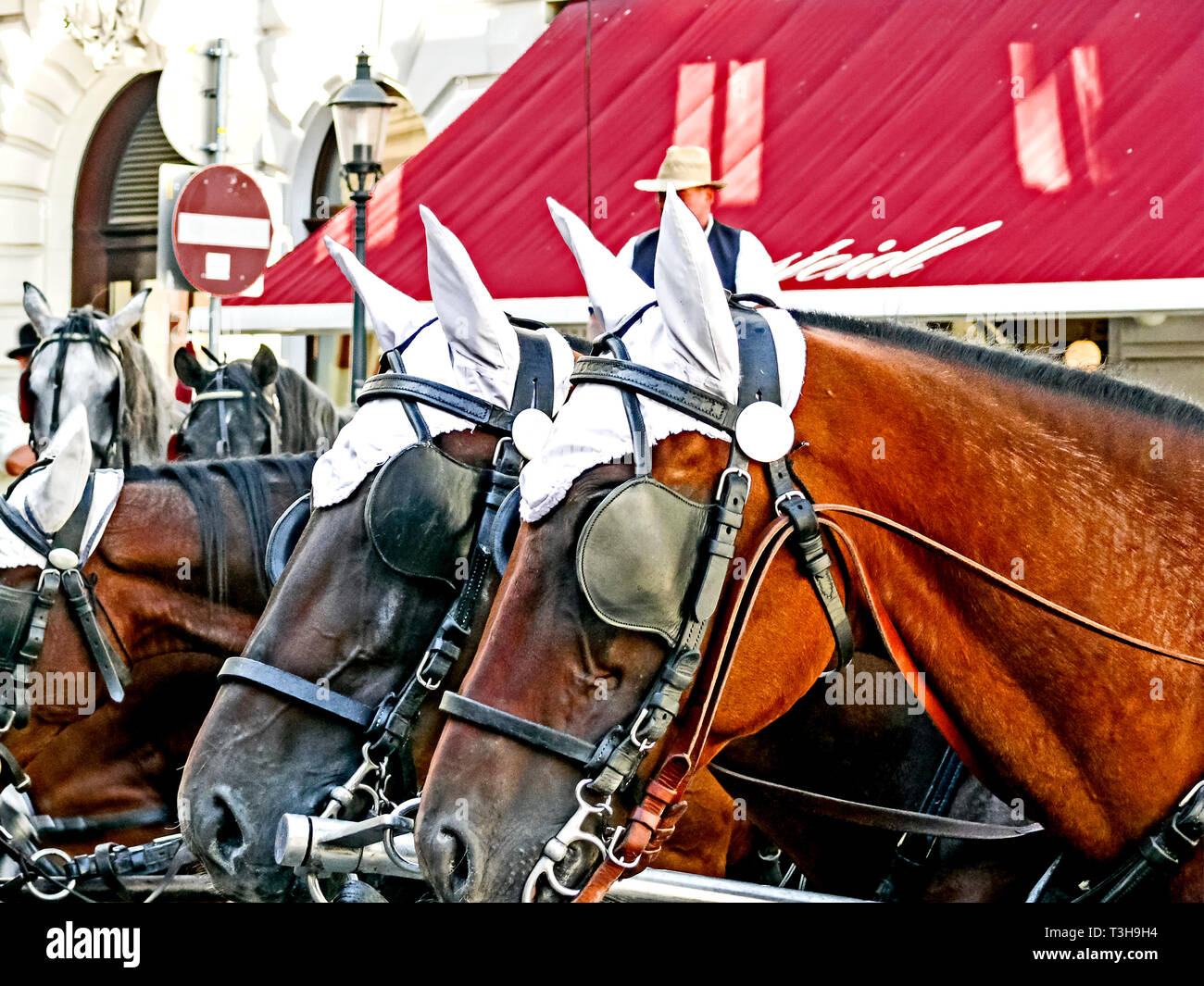 Europe the traditional fiaker horse carriages hi-res stock photography ...