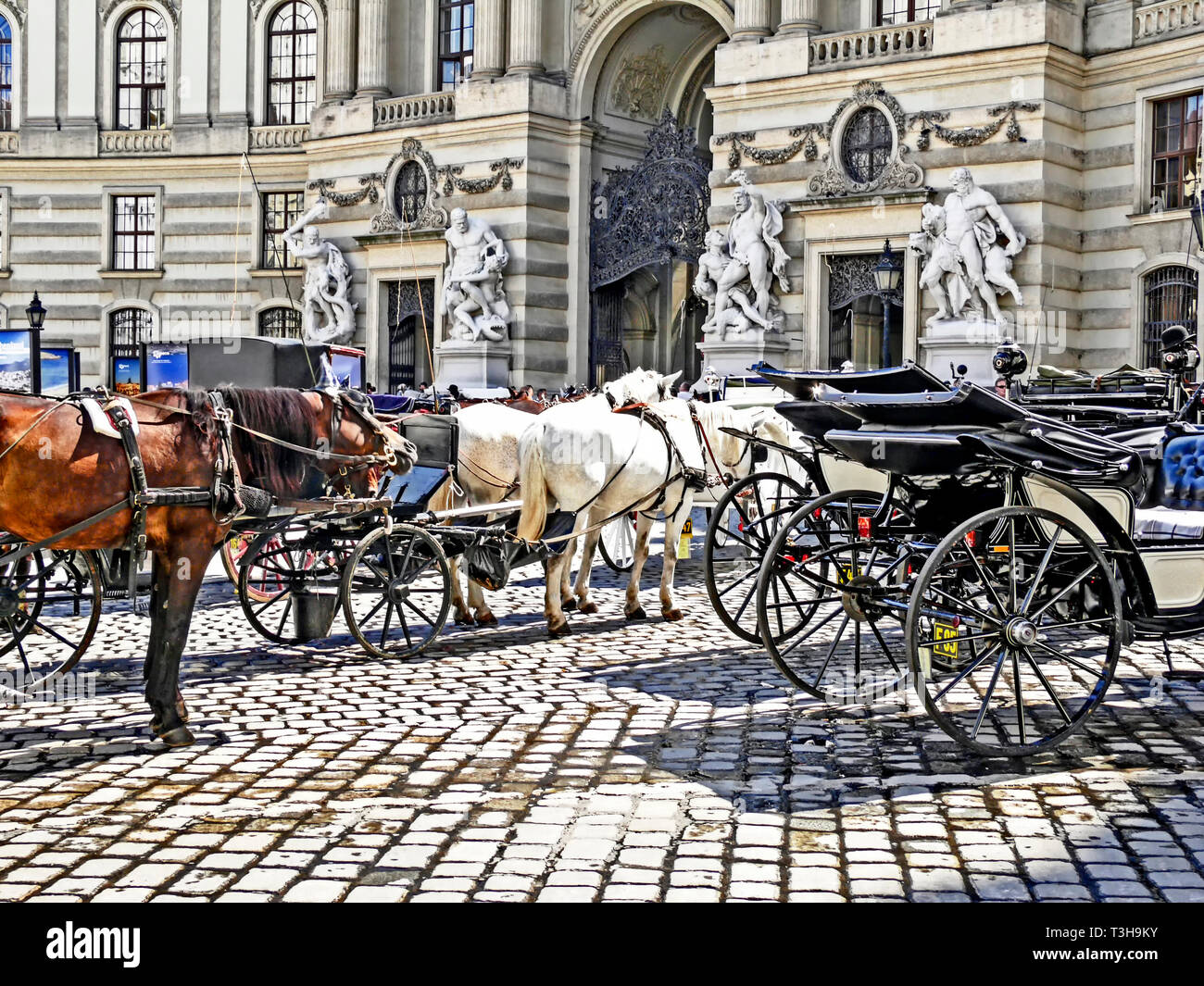 Fiacres in Vienna, Austria; Fiaker in Wien, Österreich Stock Photo - Alamy
