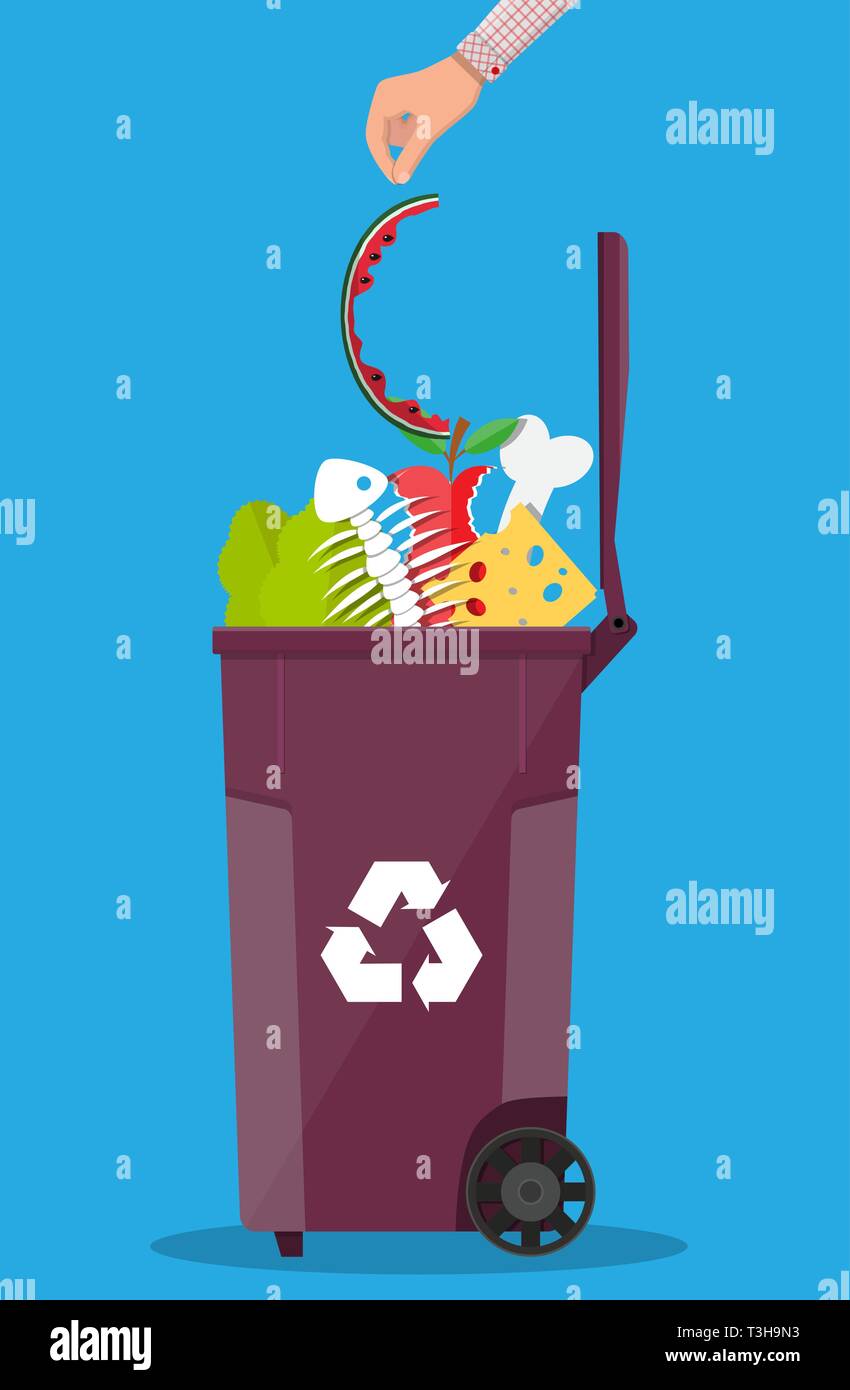 Food waste garbage bin container full of junk food. Salad, fishbone ...