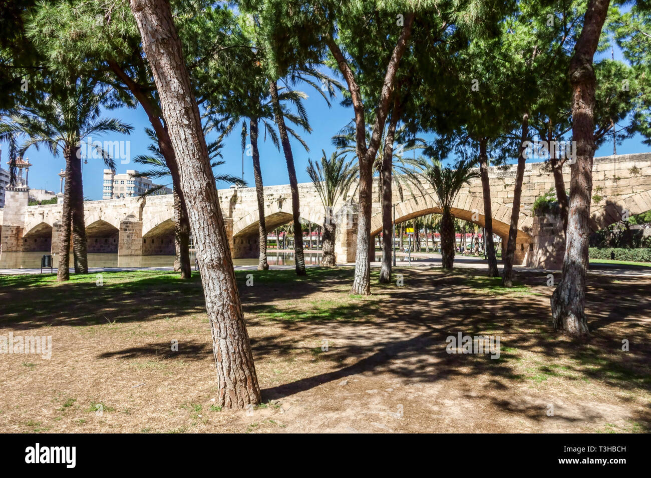 Turia gardens hi-res stock photography and images - Alamy