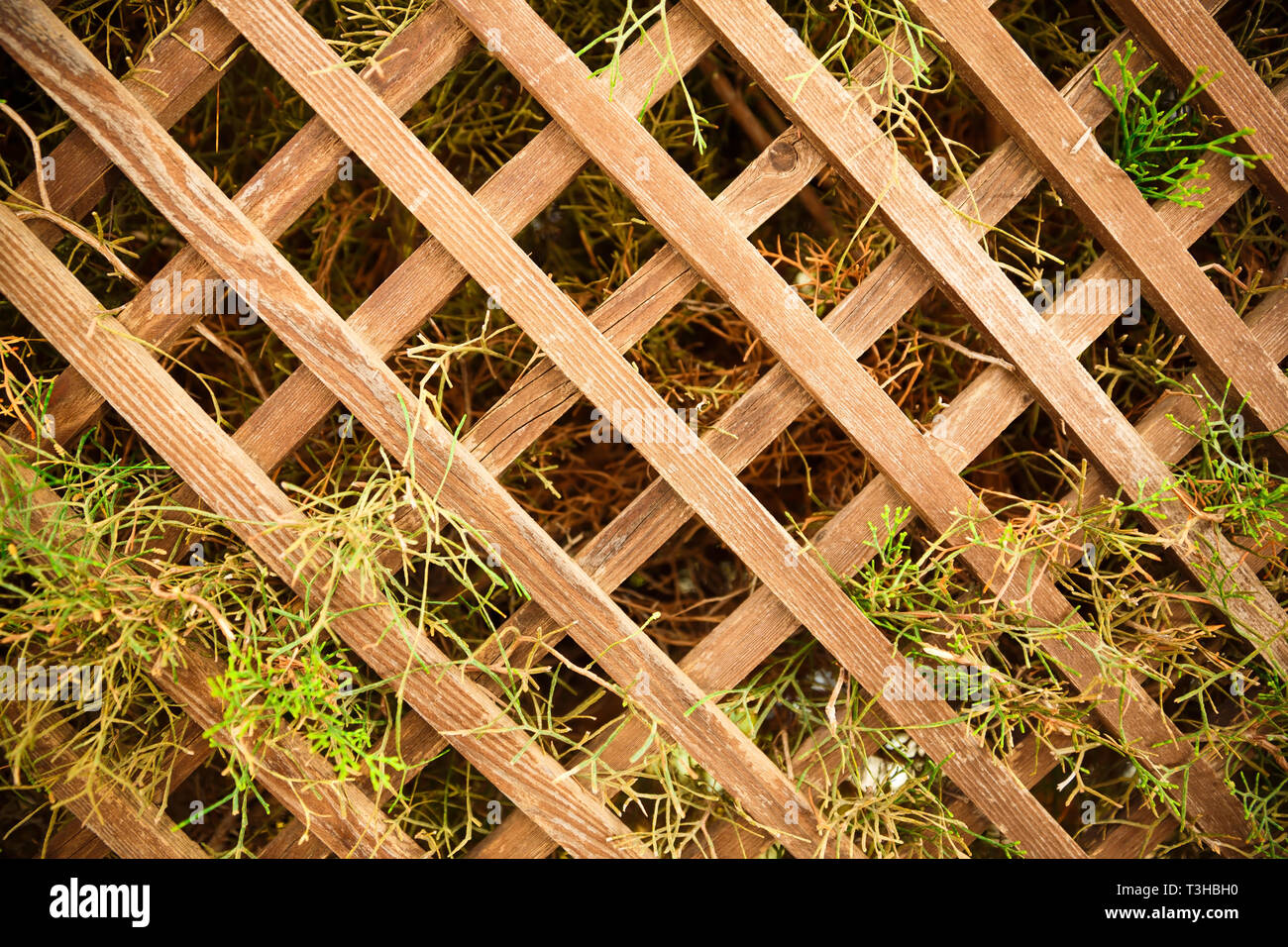 Wooden stick fence hi-res stock photography and images - Alamy