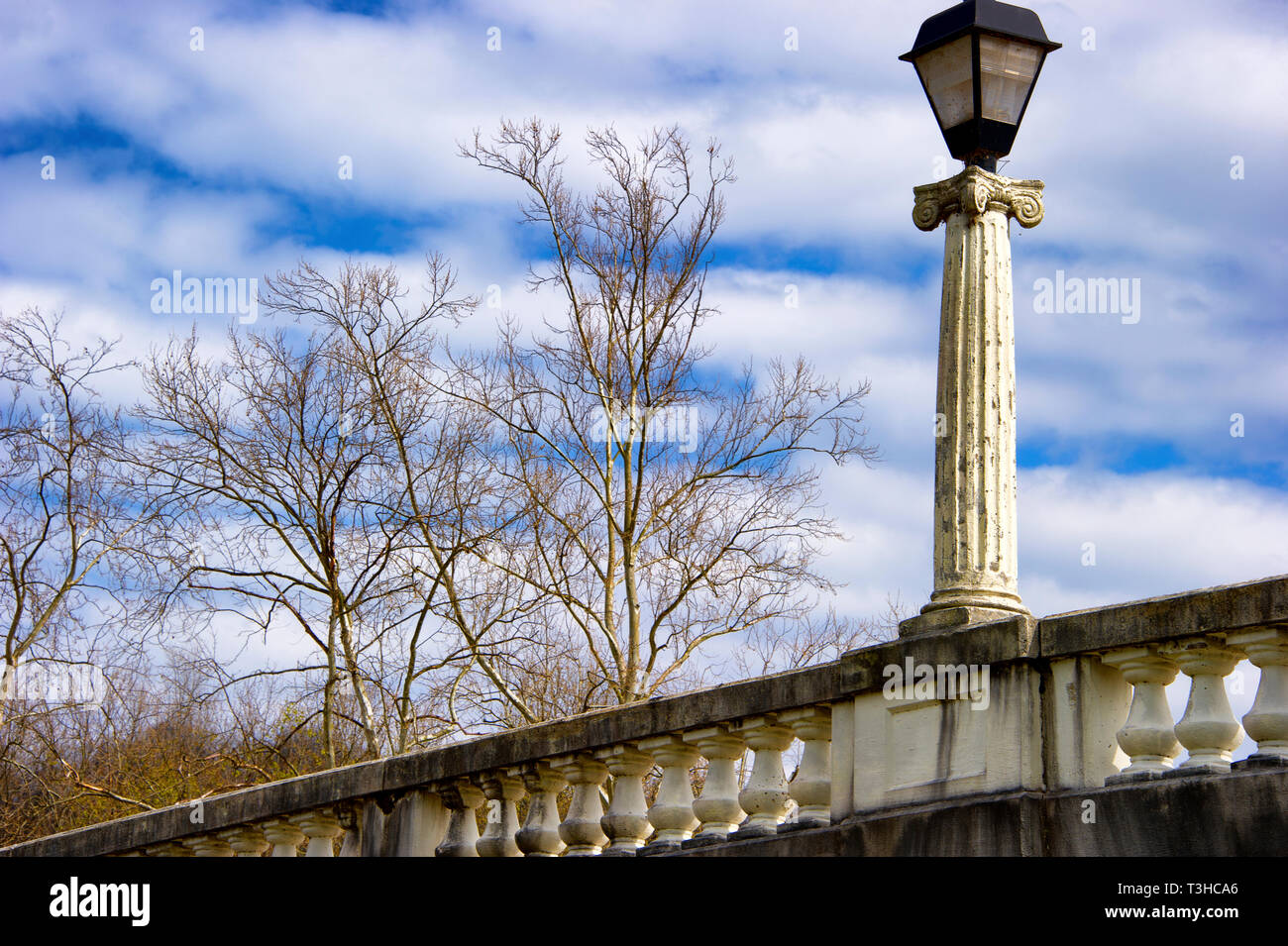 Background image of a bridge lamp post, tree branches and cloudy skies ...