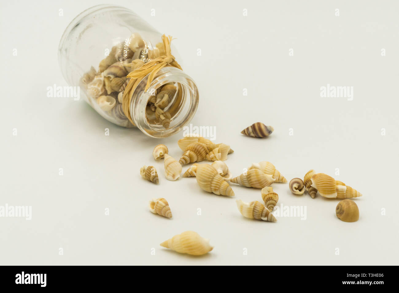 Glass with shells hi-res stock photography and images - Alamy