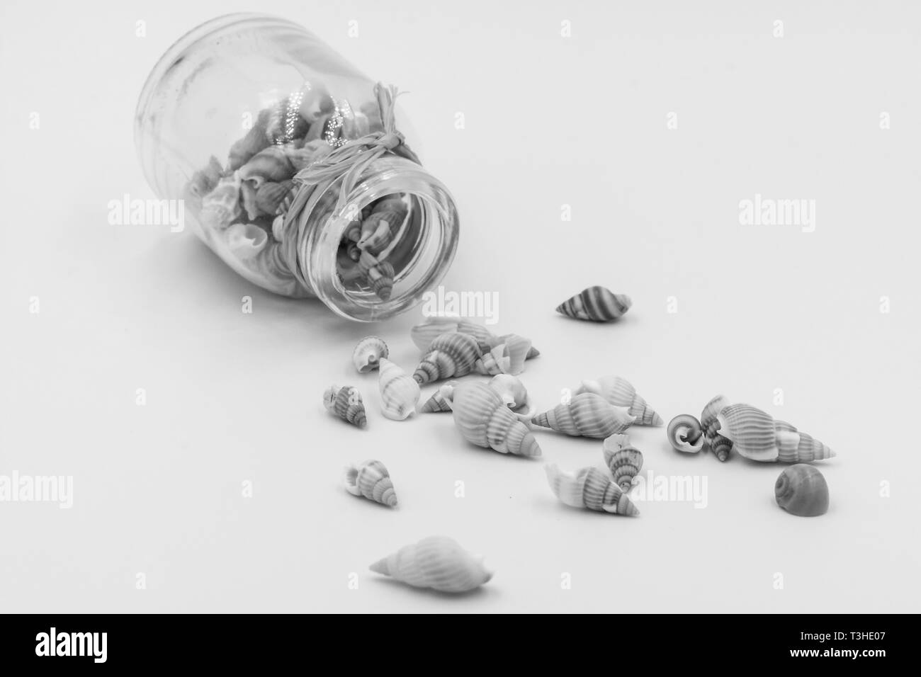 Glass jar with sea shells Stock Photo - Alamy