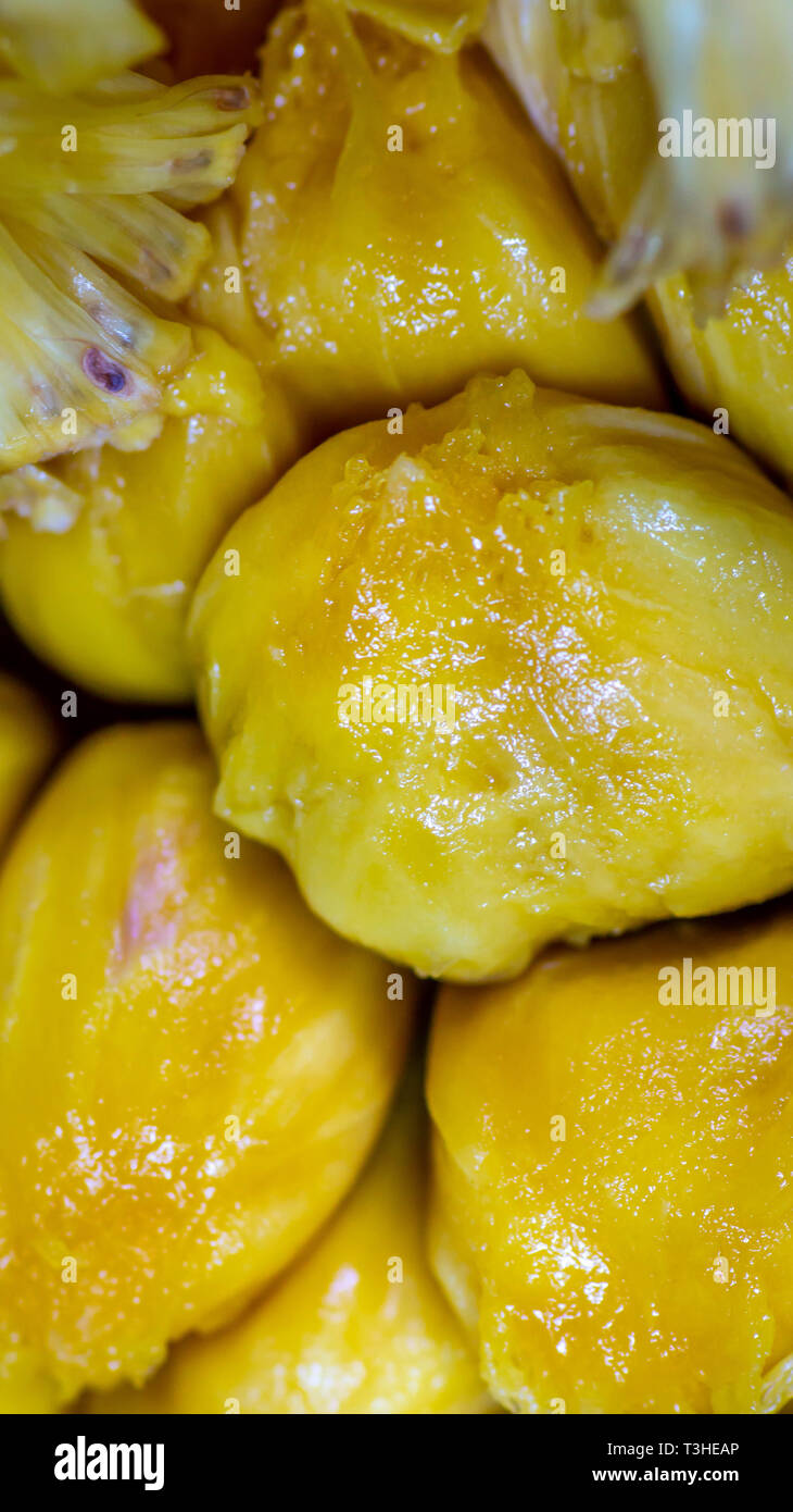 Closeup of cempedak (Artocarpus integer). This fruit is native to South ...
