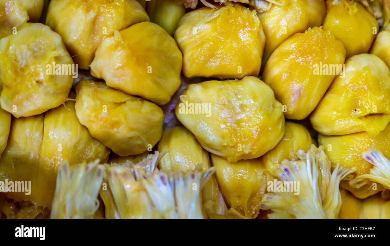Closeup of cempedak (Artocarpus integer). This fruit is native to South ...
