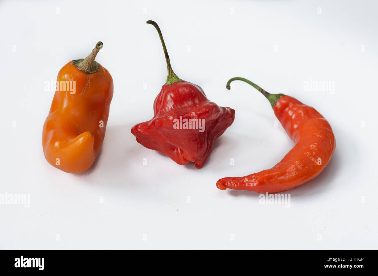 Three chili peppers on white background. Pepper. Chili pepper Stock ...