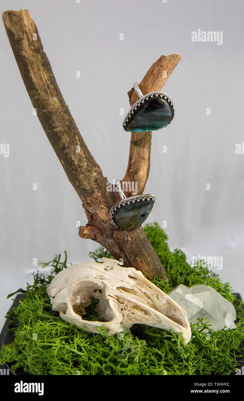 Campfire rings hi-res stock photography and images - Alamy