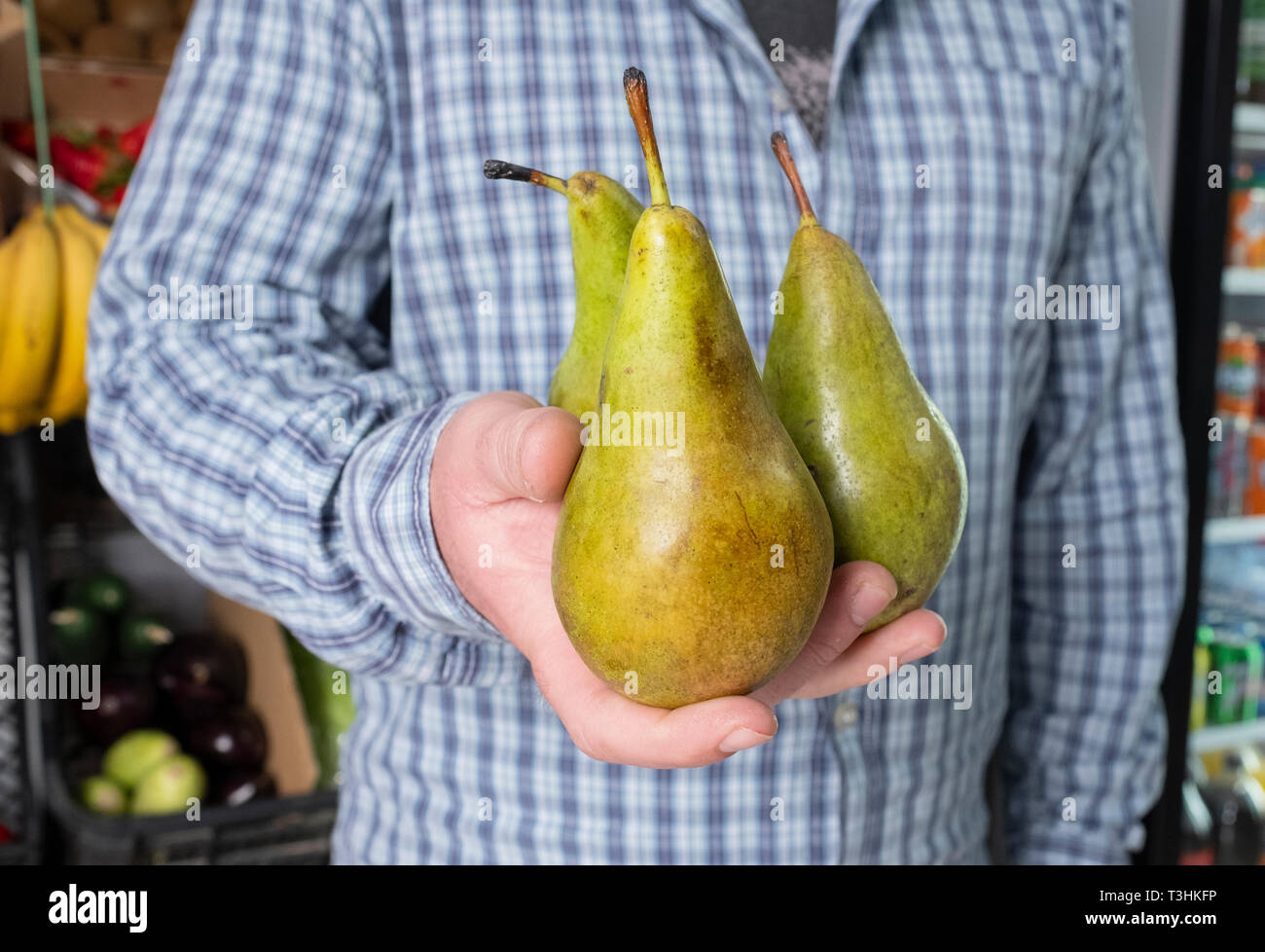 Pears in hands hi-res stock photography and images - Alamy