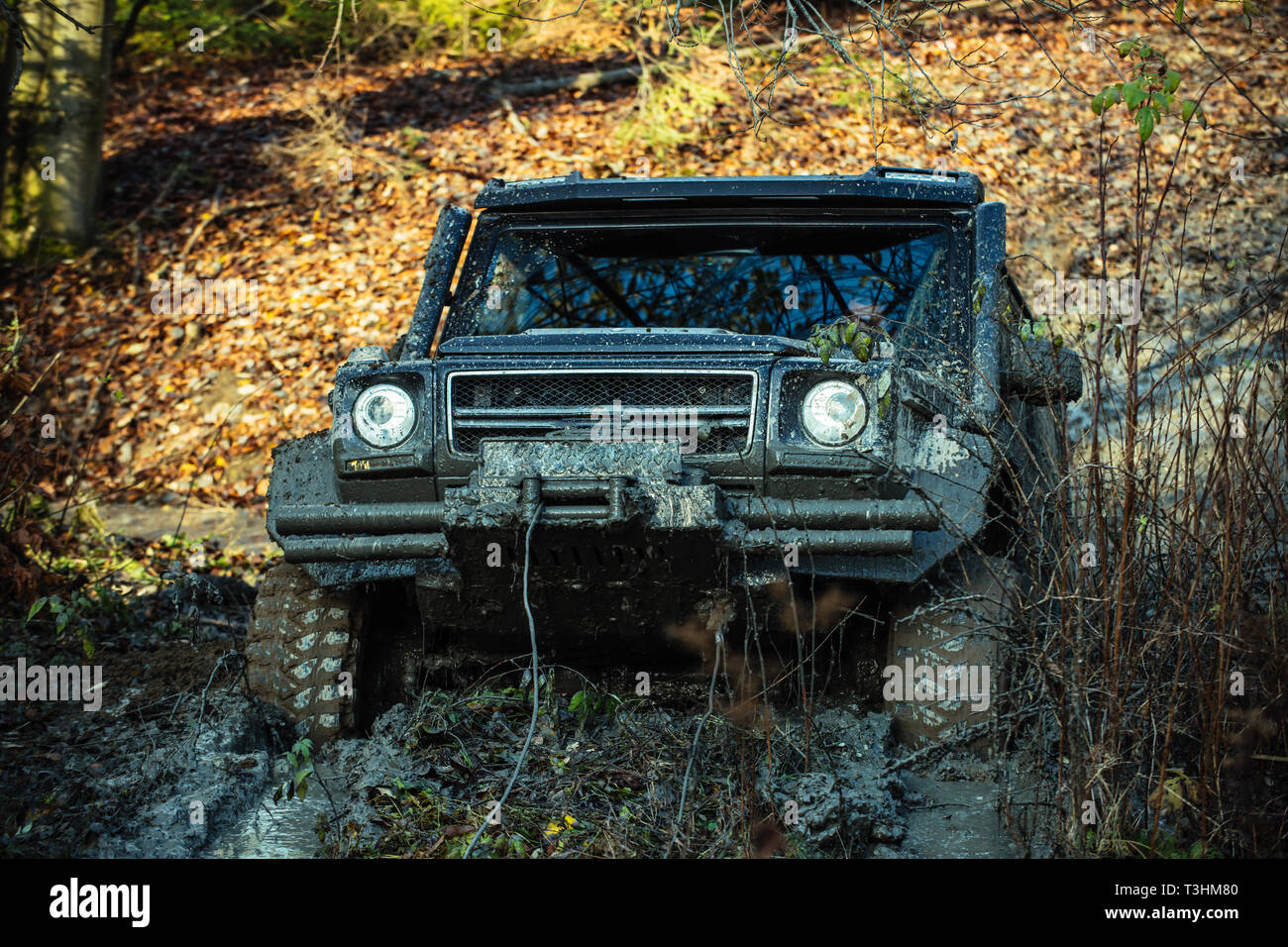 Dirty offroad car stuck in rut with nature on background Stock Photo ...