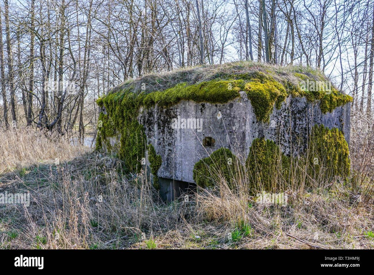 abandoned soviet army fortification World War II near Liepaja, Latvia ...