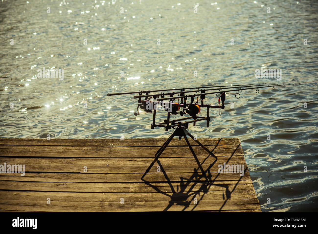 Spin fishing, angling, catching fish Stock Photo - Alamy