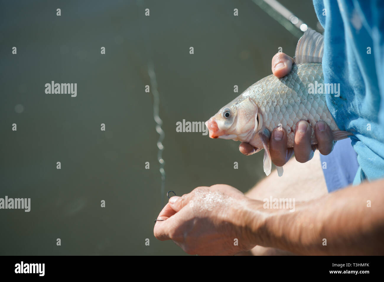 Michigan Carp Fishing Blog 11 Tips For Catching
