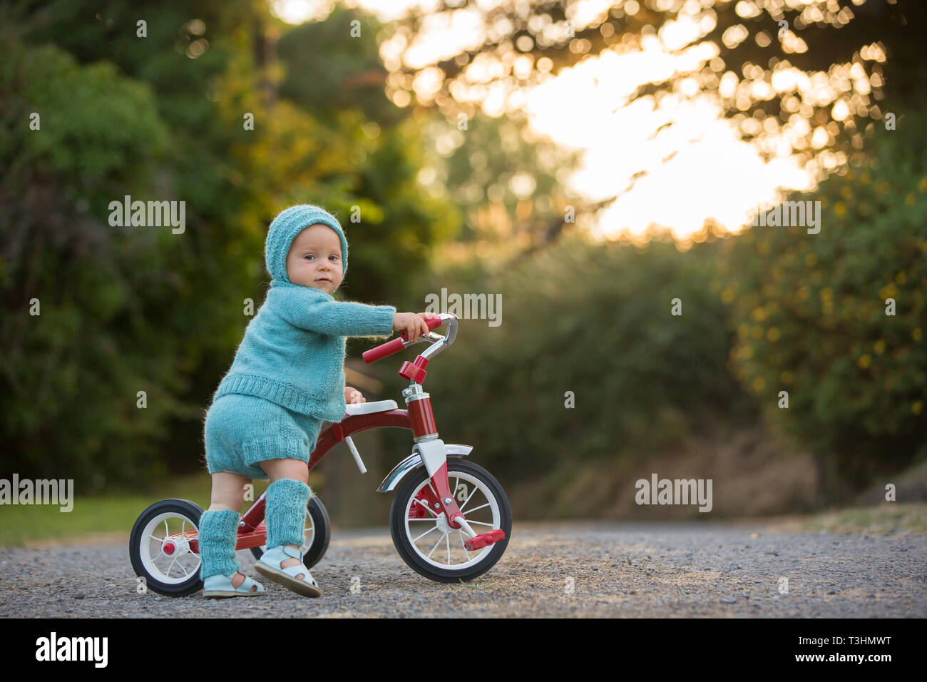 Cute toddler child, boy, playing with tricycle in backyard, kid riding ...