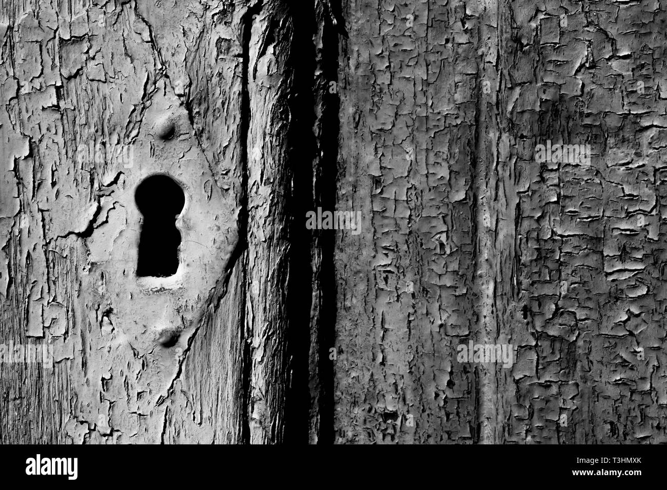 Macro Photography Architecture
