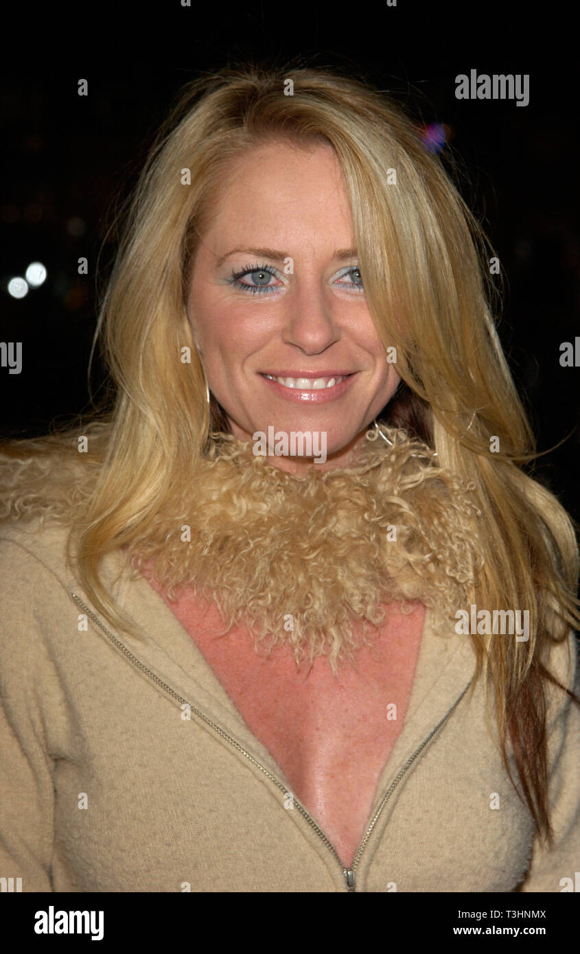 LOS ANGELES, CA. December 18, 2002: Actress DENA CARTER at the Los ...