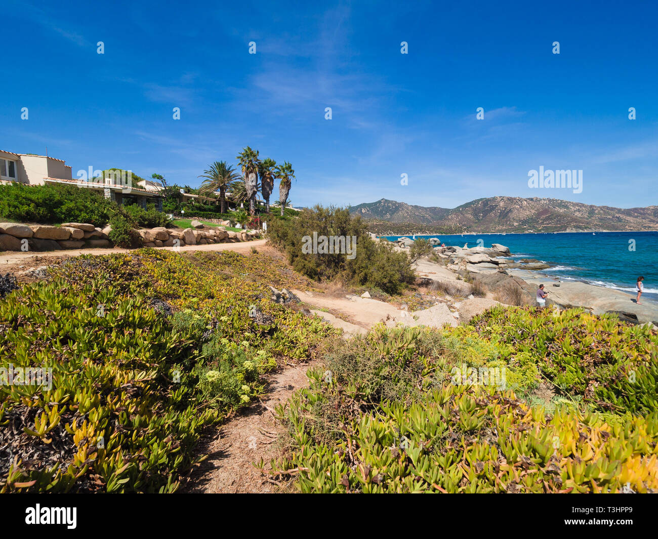 Typical Mediterranean vegetation composed of bushes and shrubs between ...