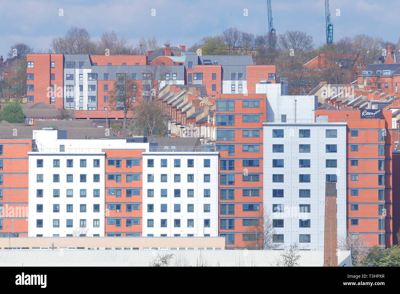 Apartments & Houses in Burley, Leeds Stock Photo - Alamy