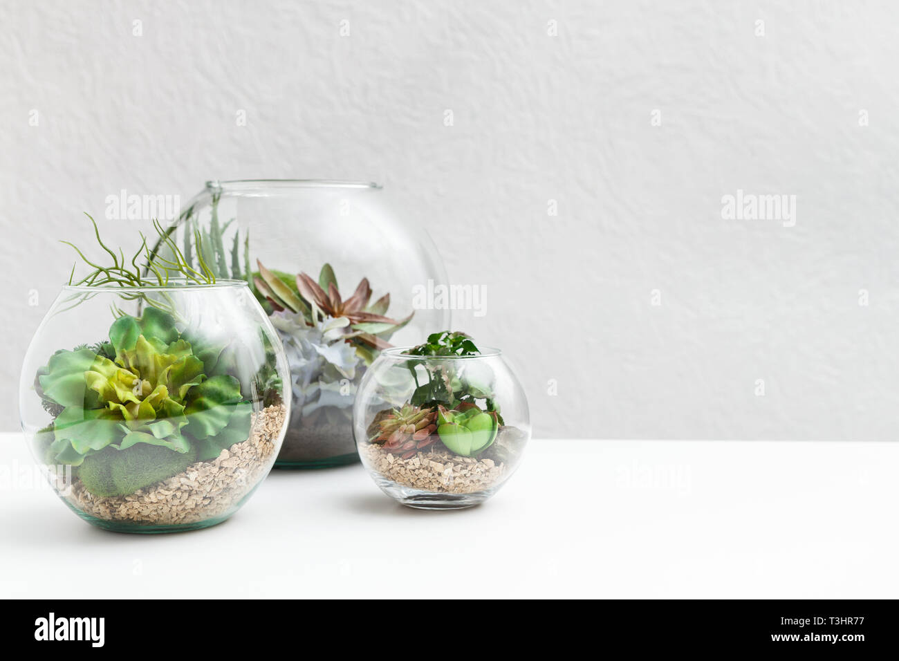 Glass florarium hi-res stock photography and images - Alamy