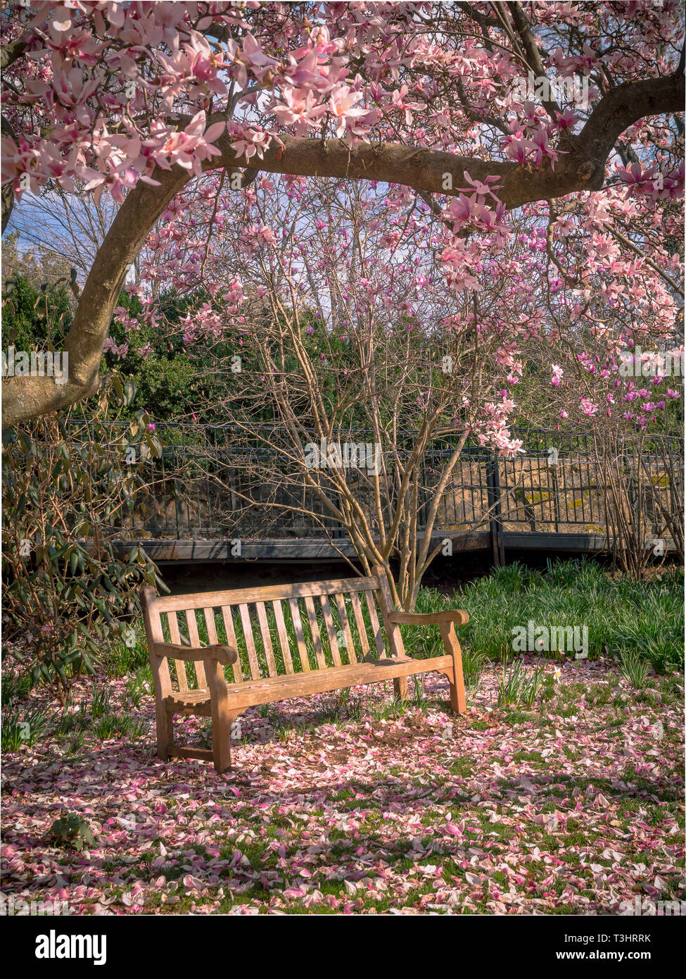Sit in a bench hi-res stock photography and images - Alamy