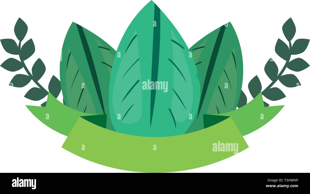 natural leaves branch foliage emblem vector illustration Stock Vector ...